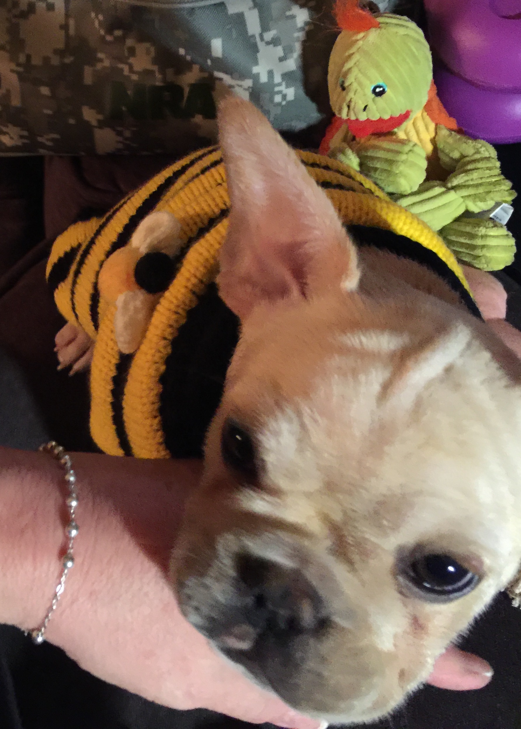 Grab Bag of Samples Giveaway! | Perfume Posse