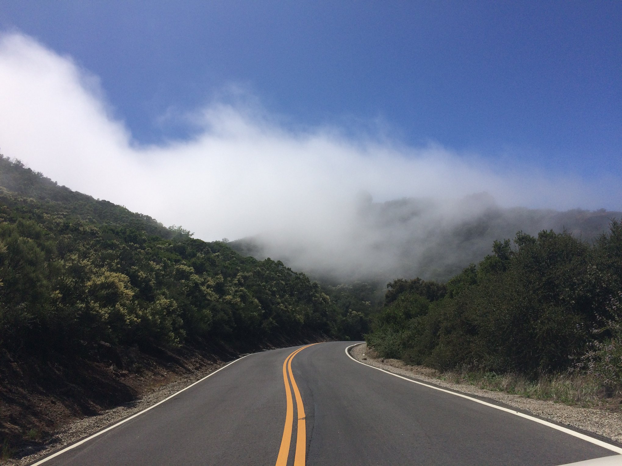 Lazy | Perfume Posse