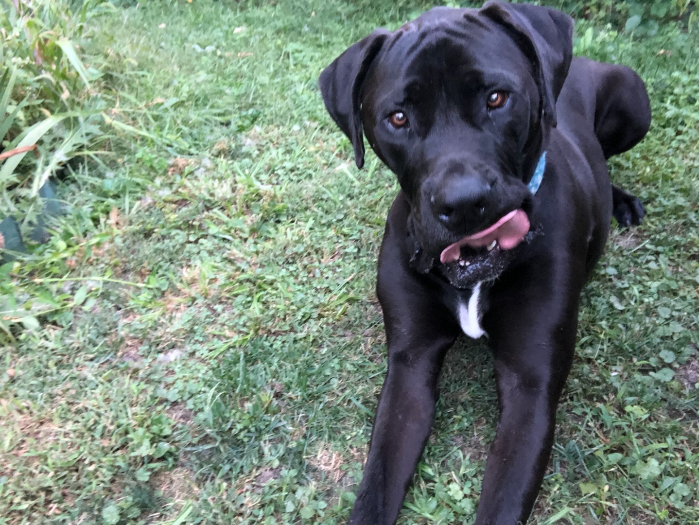 Beloved | Perfume Posse