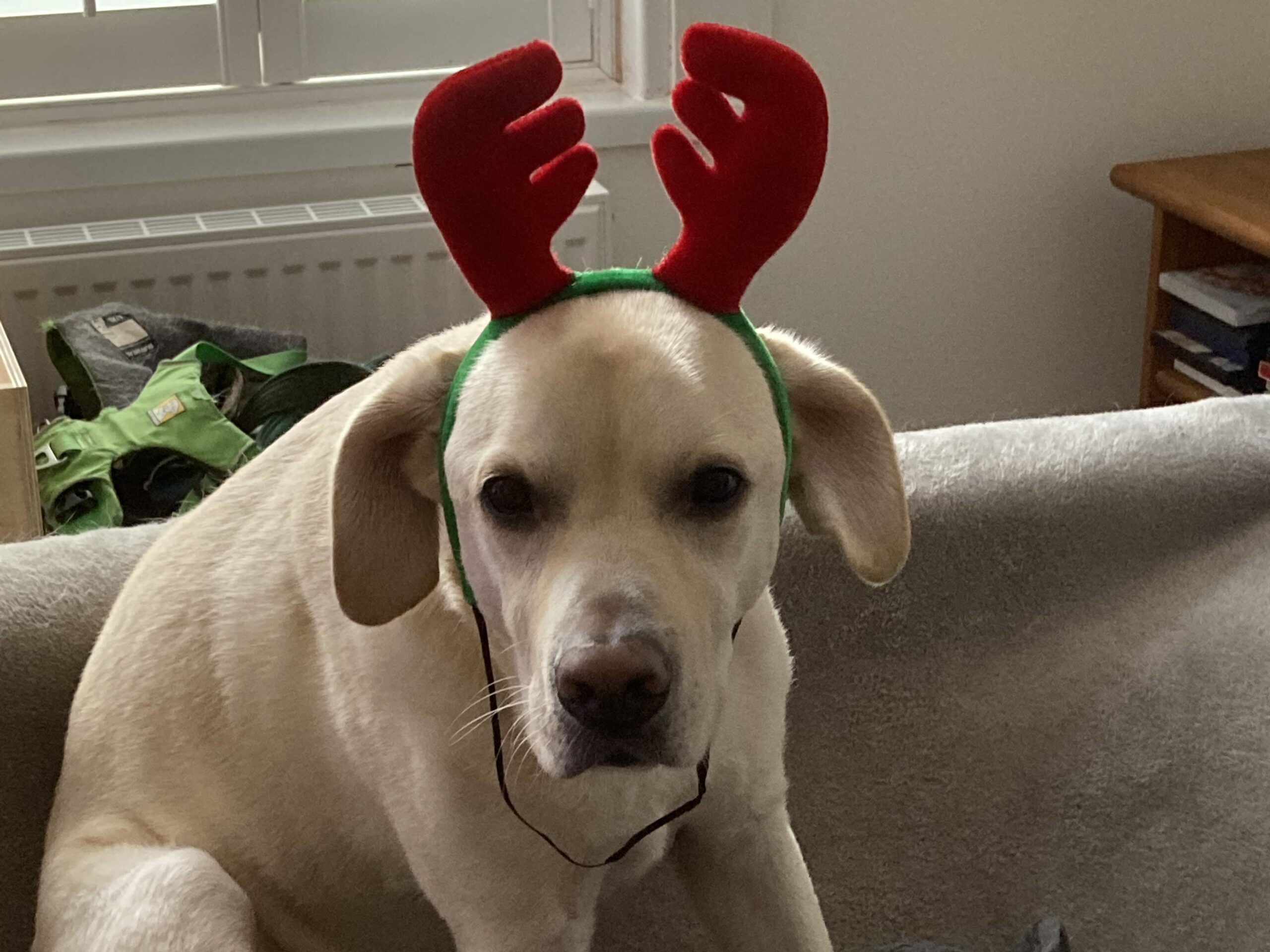 Merry Happy | Perfume Posse