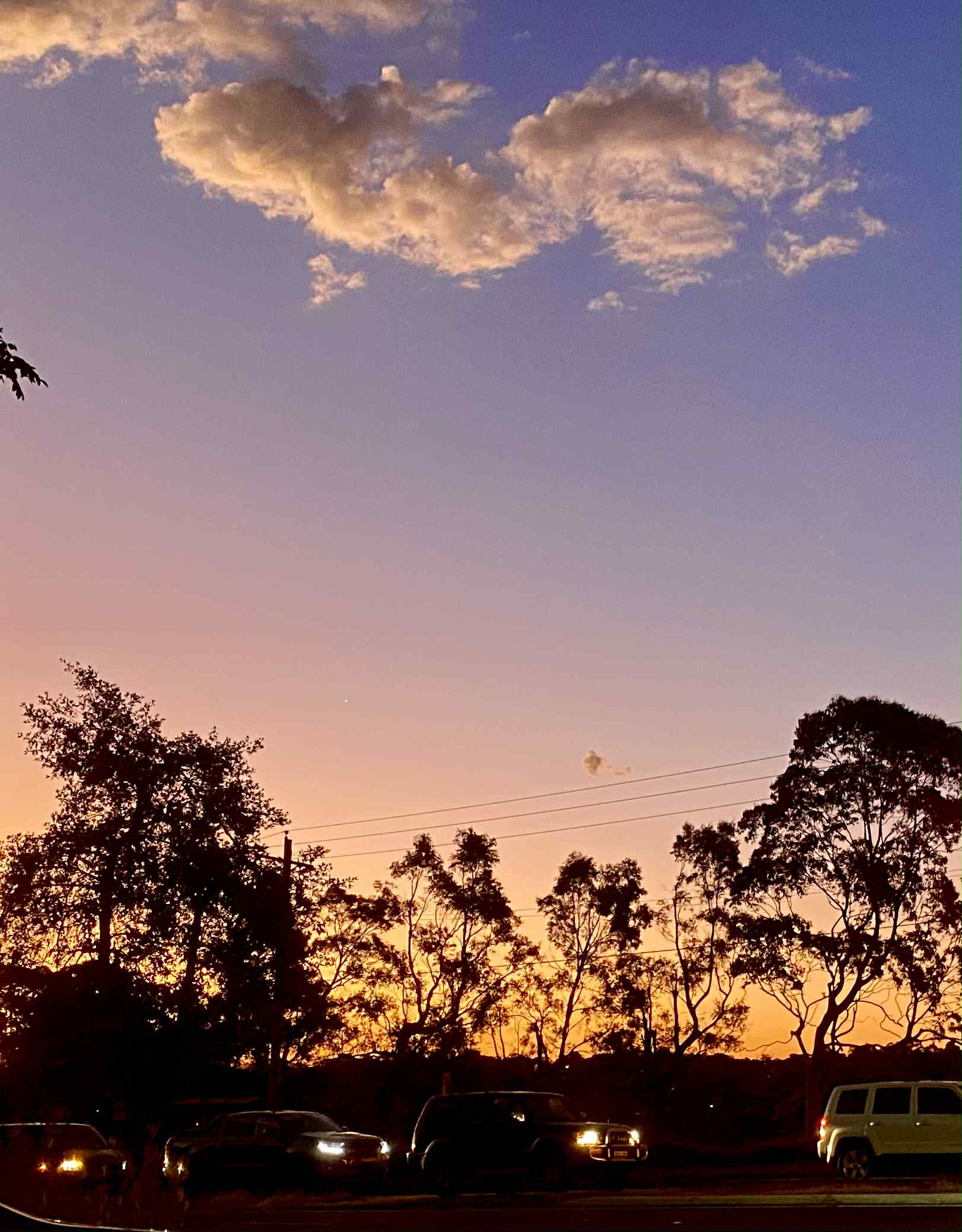 Something Not Related | Perfume Posse Need a distraction?