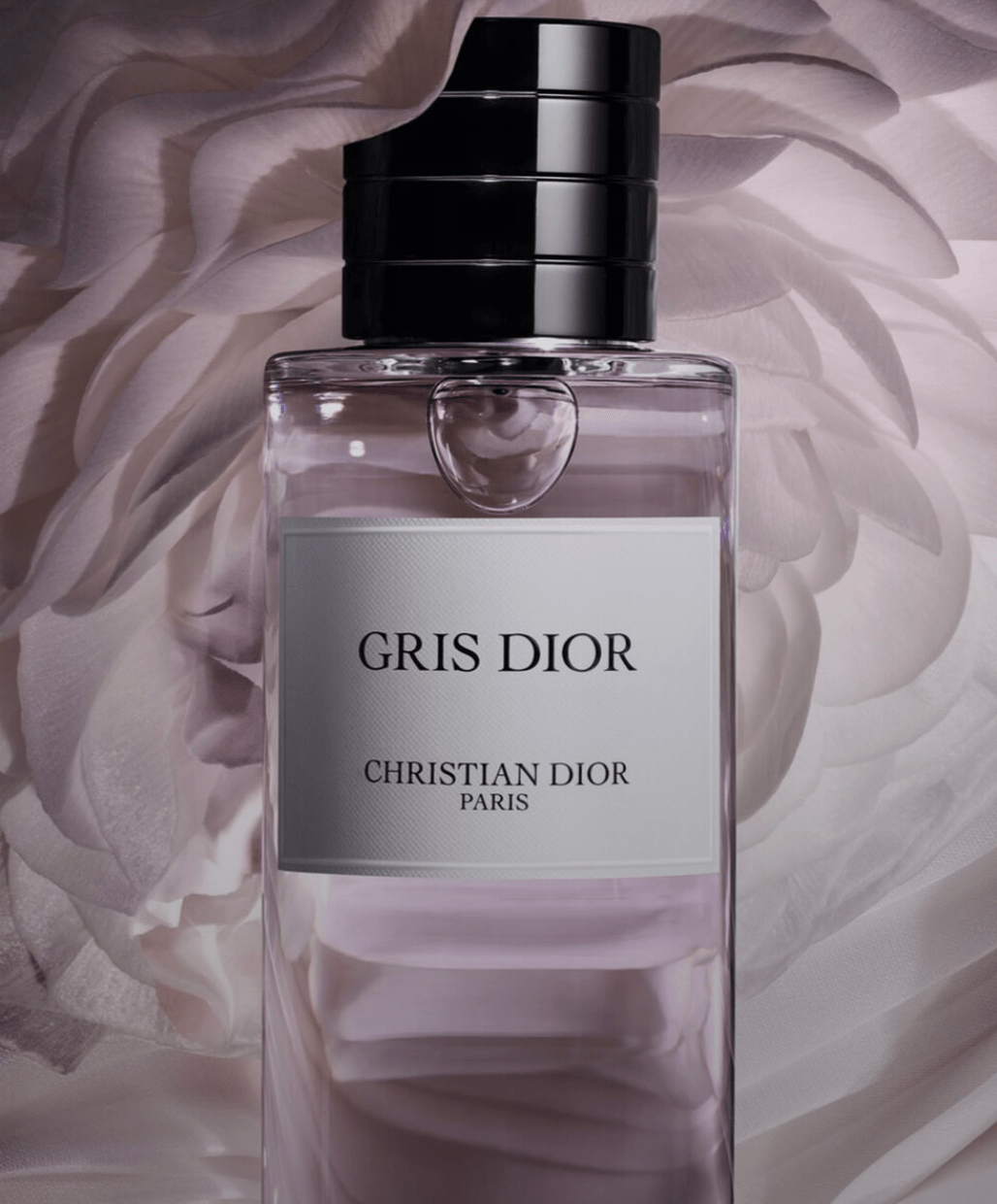 Gris Dior by Maison Christian Dior | Perfume Posse
